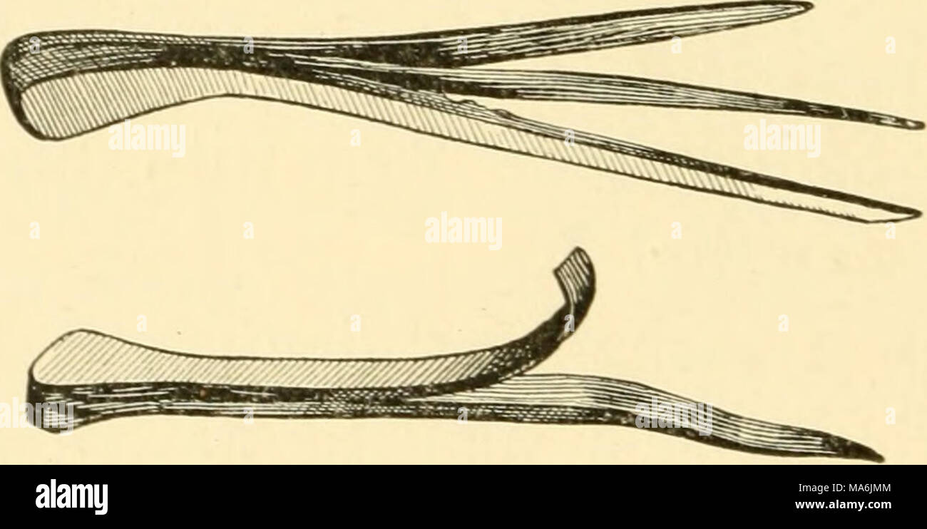 . Elements of agriculture Stock Photo - Alamy