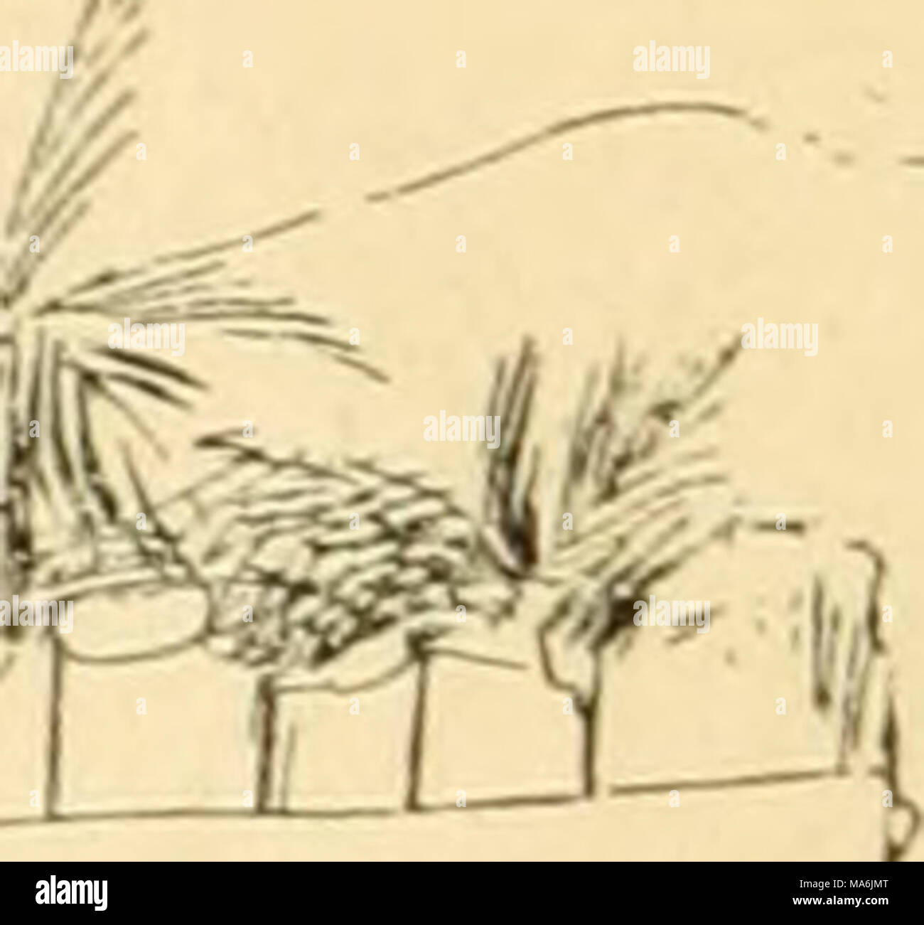 . Elements of agriculture Stock Photo - Alamy