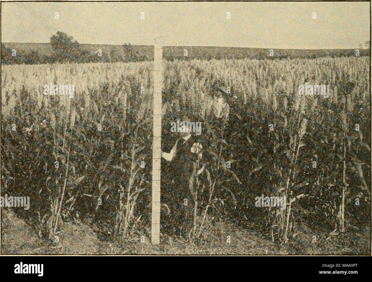 . Elementary principles of agriculture : a text book for the common ...