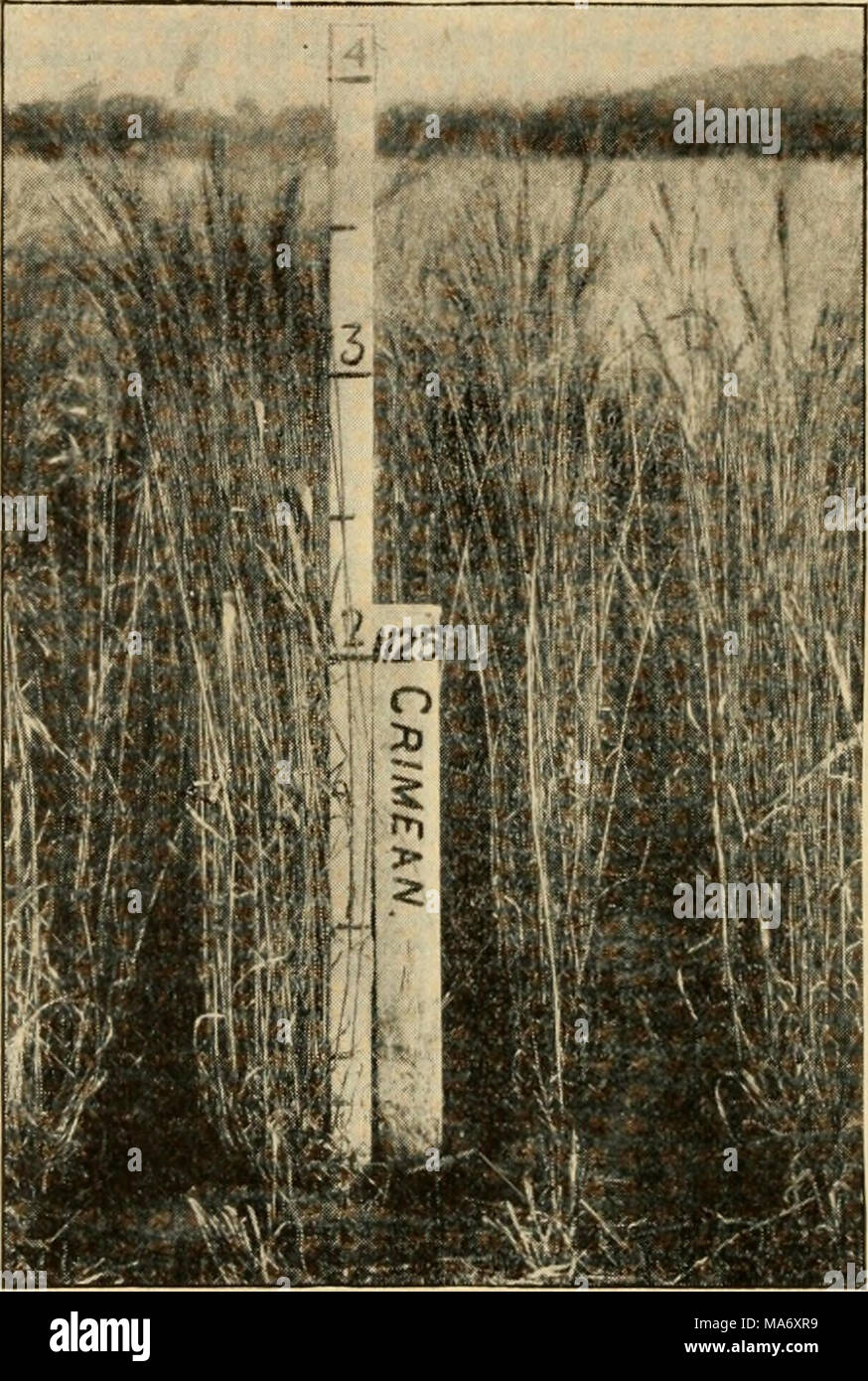 . Elementary principles of agriculture : a text book for the common ...