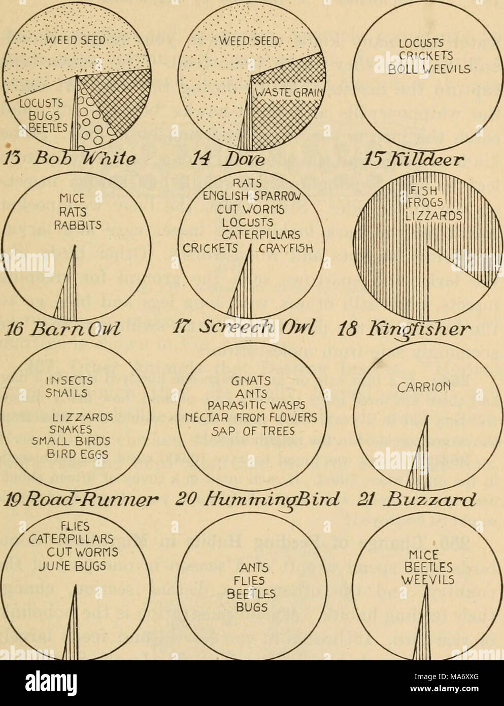 . Elementary principles of agriculture : a text book for the common ...
