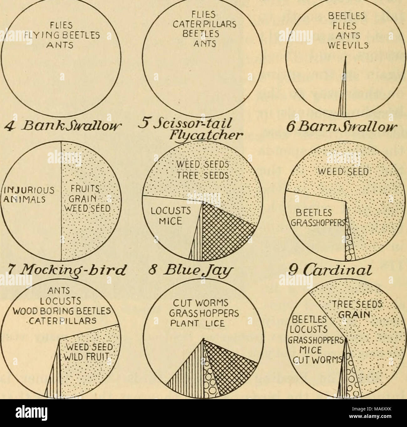 . Elementary principles of agriculture : a text book for the common ...