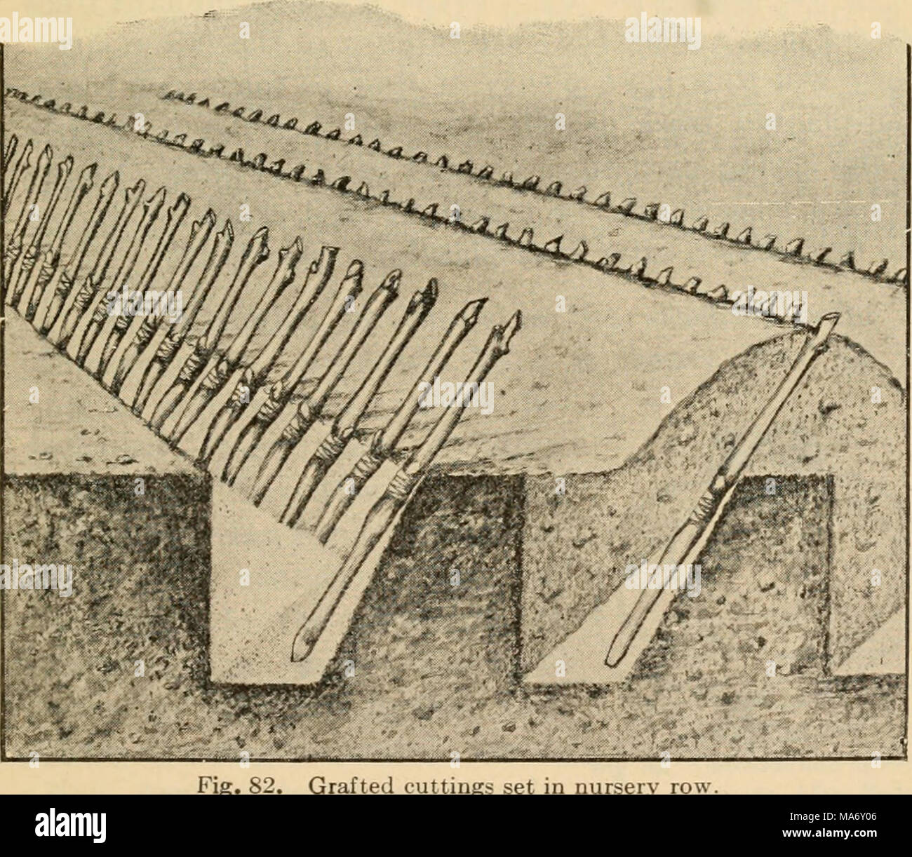 . Elementary principles of agriculture : a text book for the common ...