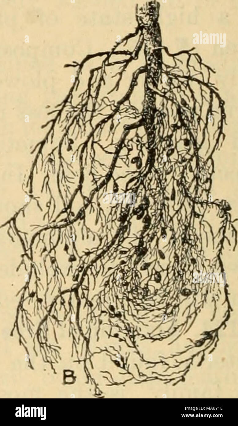 . Elementary principles of agriculture : a text book for the common ...