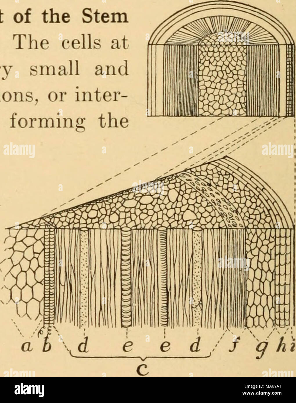 . Elementary principles of agriculture; a text book for the common ...