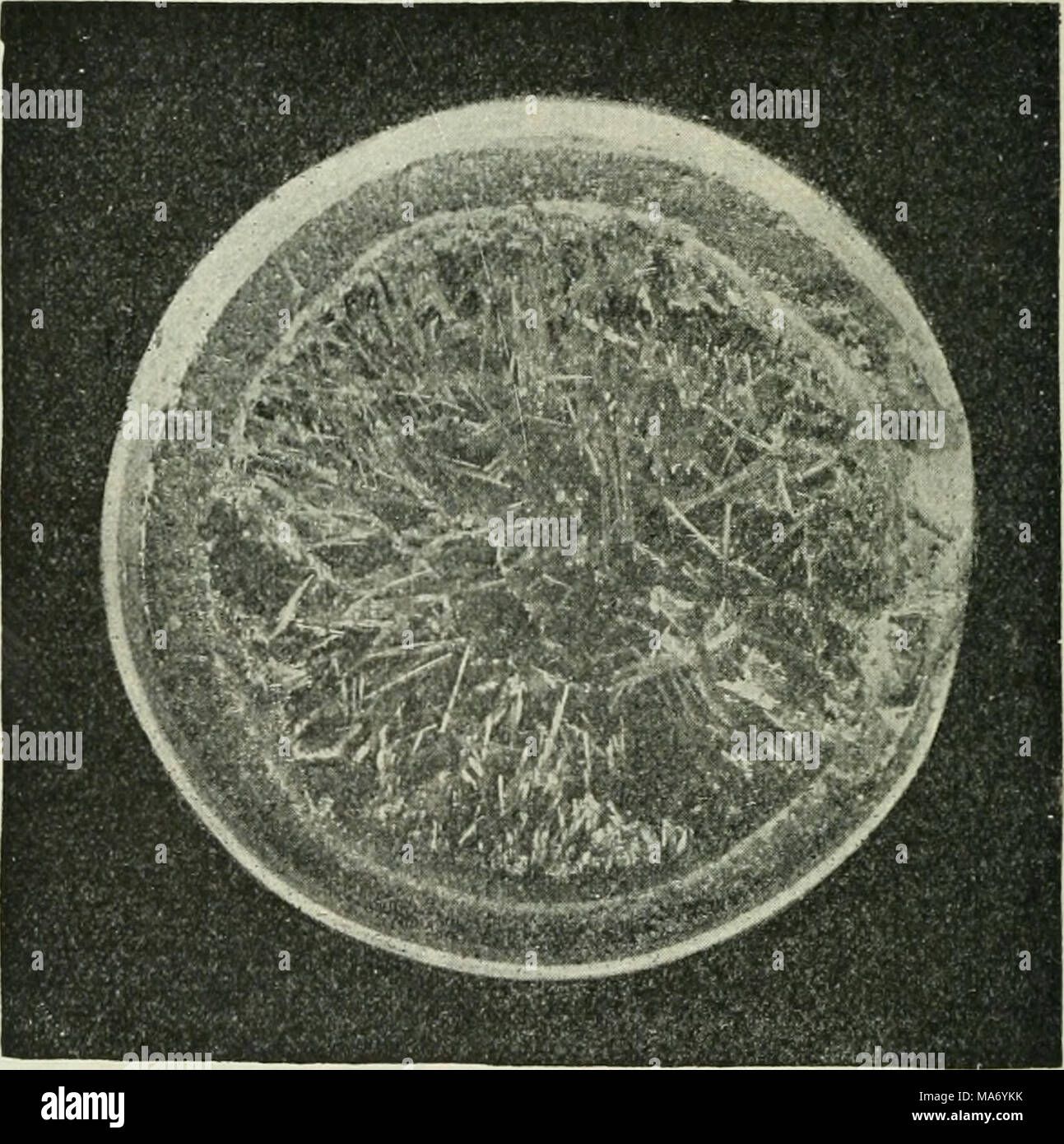 . Elementary physics and chemistry: first stage . Fig. 89.—Needle ...