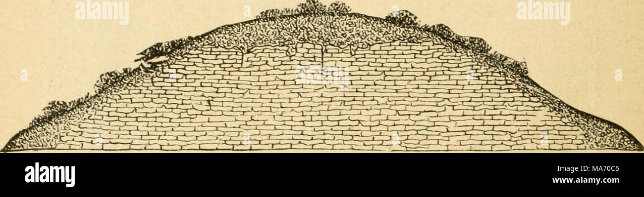 . Elementary lessons in the physics of agriculture . Fig. SO. it occurs ...