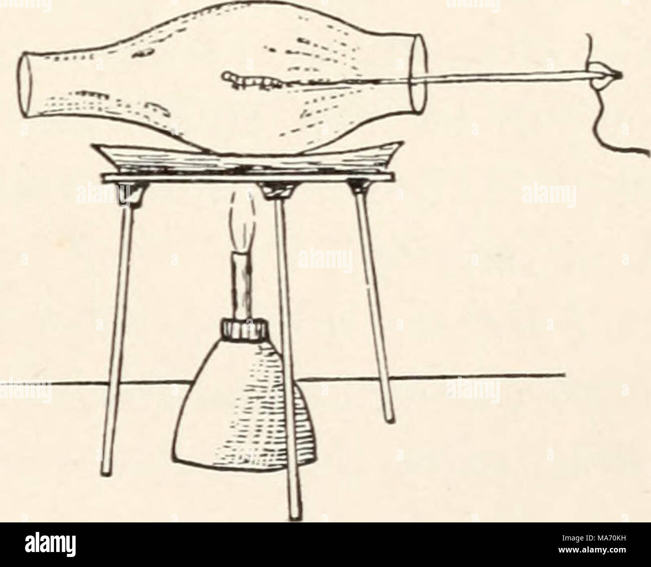 . Elementary entomology . FIG. 490. Homemade apparatus for inflating ...