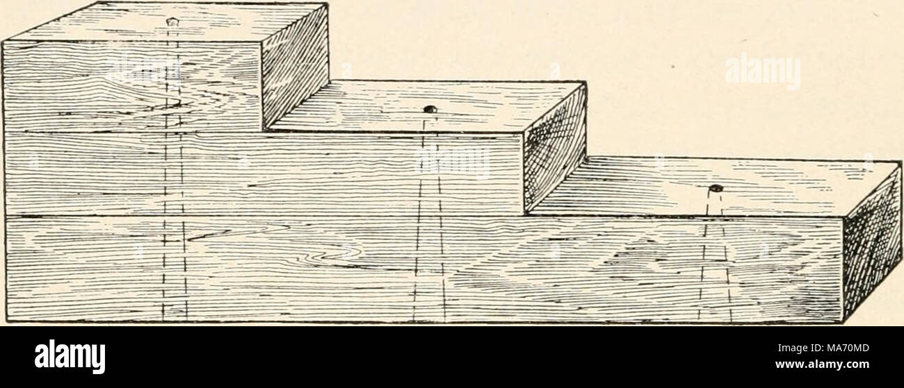 . Elementary entomology . FIG. 479. A pinning block and held very ...