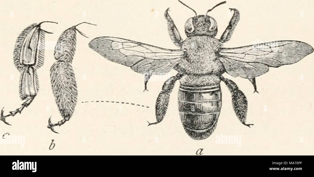 First Segment High Resolution Stock Photography and Images - Alamy