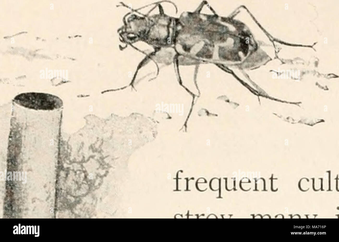 Drag anchor hi-res stock photography and images - Alamy