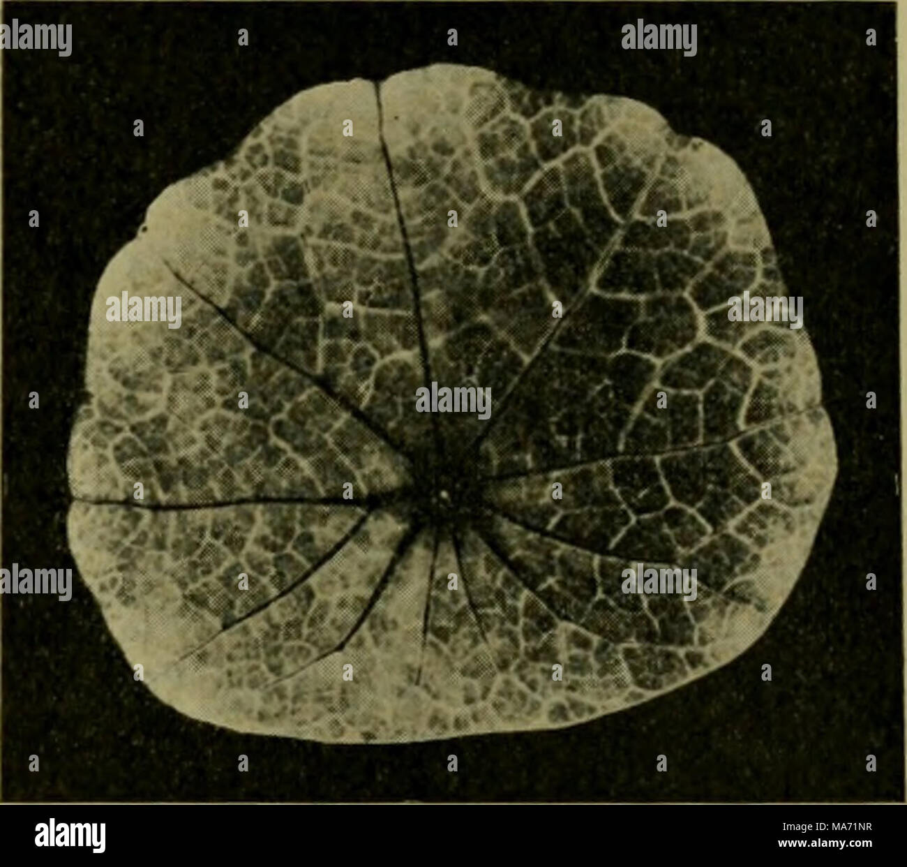 Exposed to x rays hi-res stock photography and images - Alamy