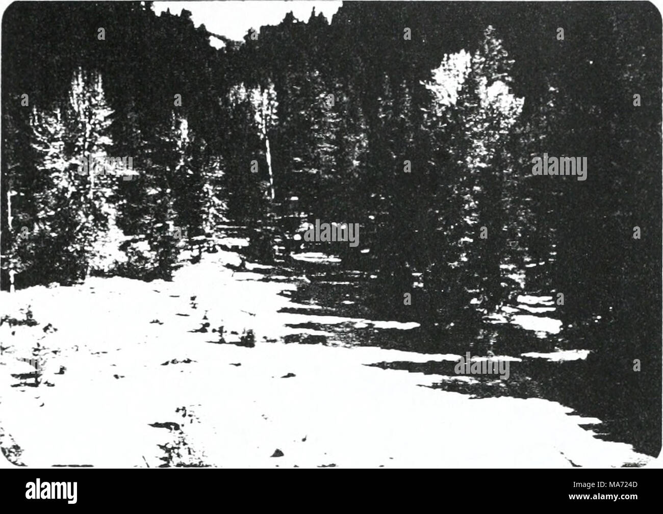 . Effects of the June, 1975 Mike Horse mine tailings dam failure on ...