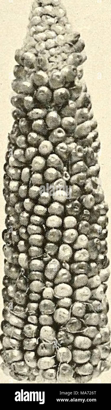 . The effects of inbreeding and crossbreeding upon development . b. Two ...