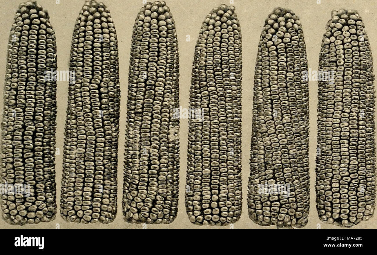 . The effects of inbreeding and crossbreeding upon development . b. The ...