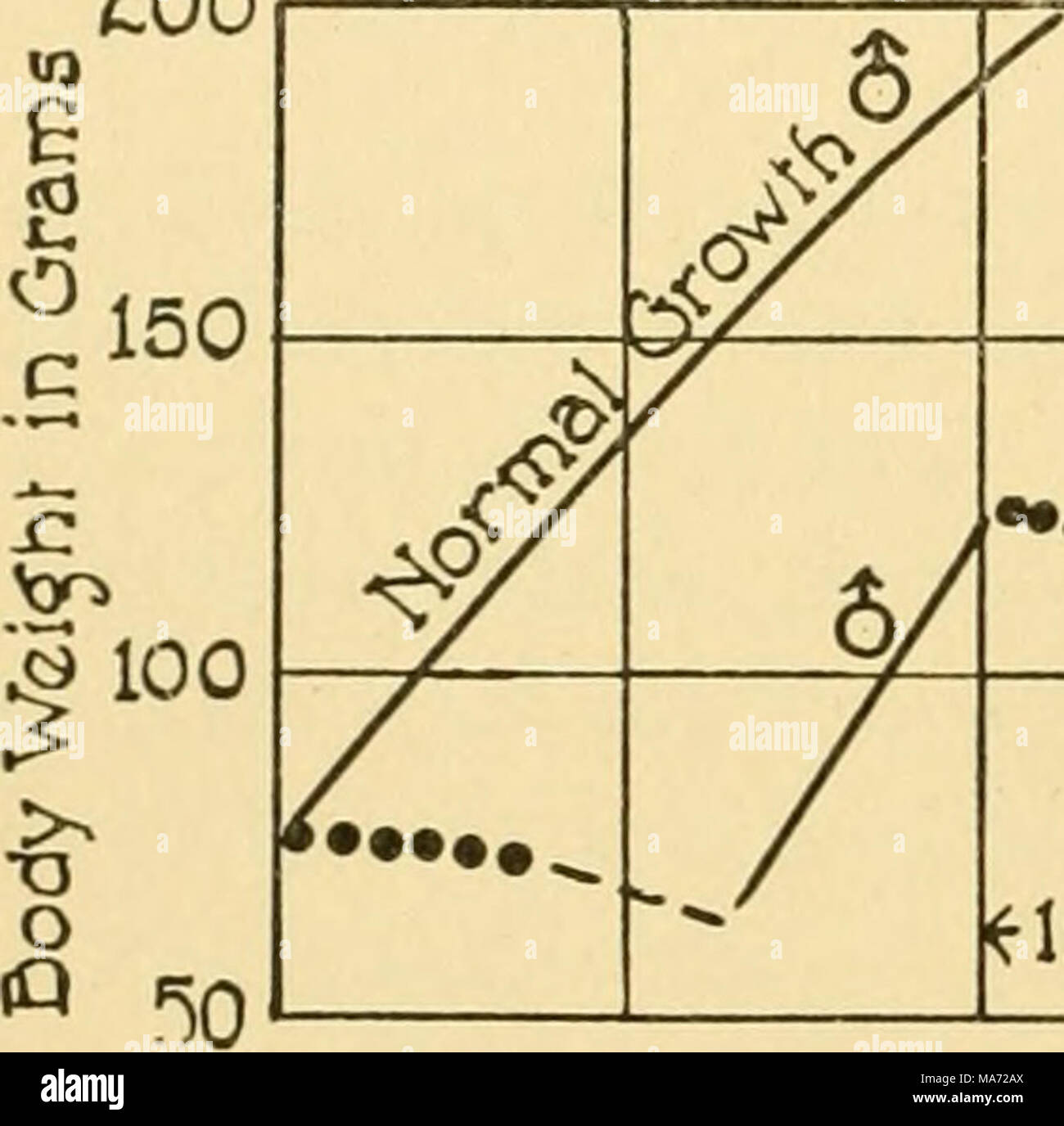 . The effects of inanition and malnutrition upon growth and structure ...