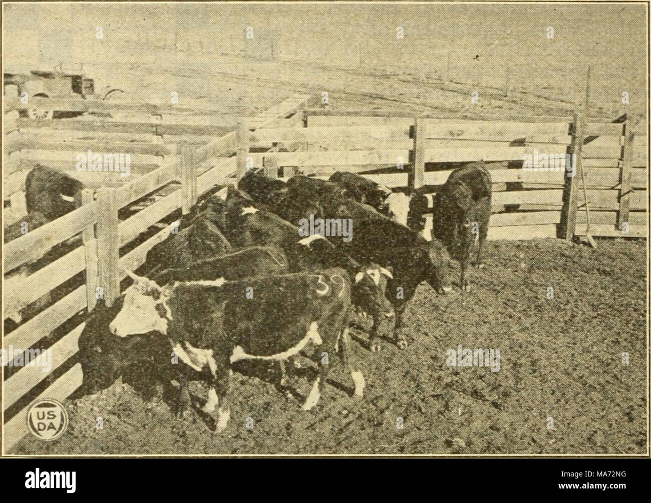 . Effects of different systems and intensities of grazing upon the ...