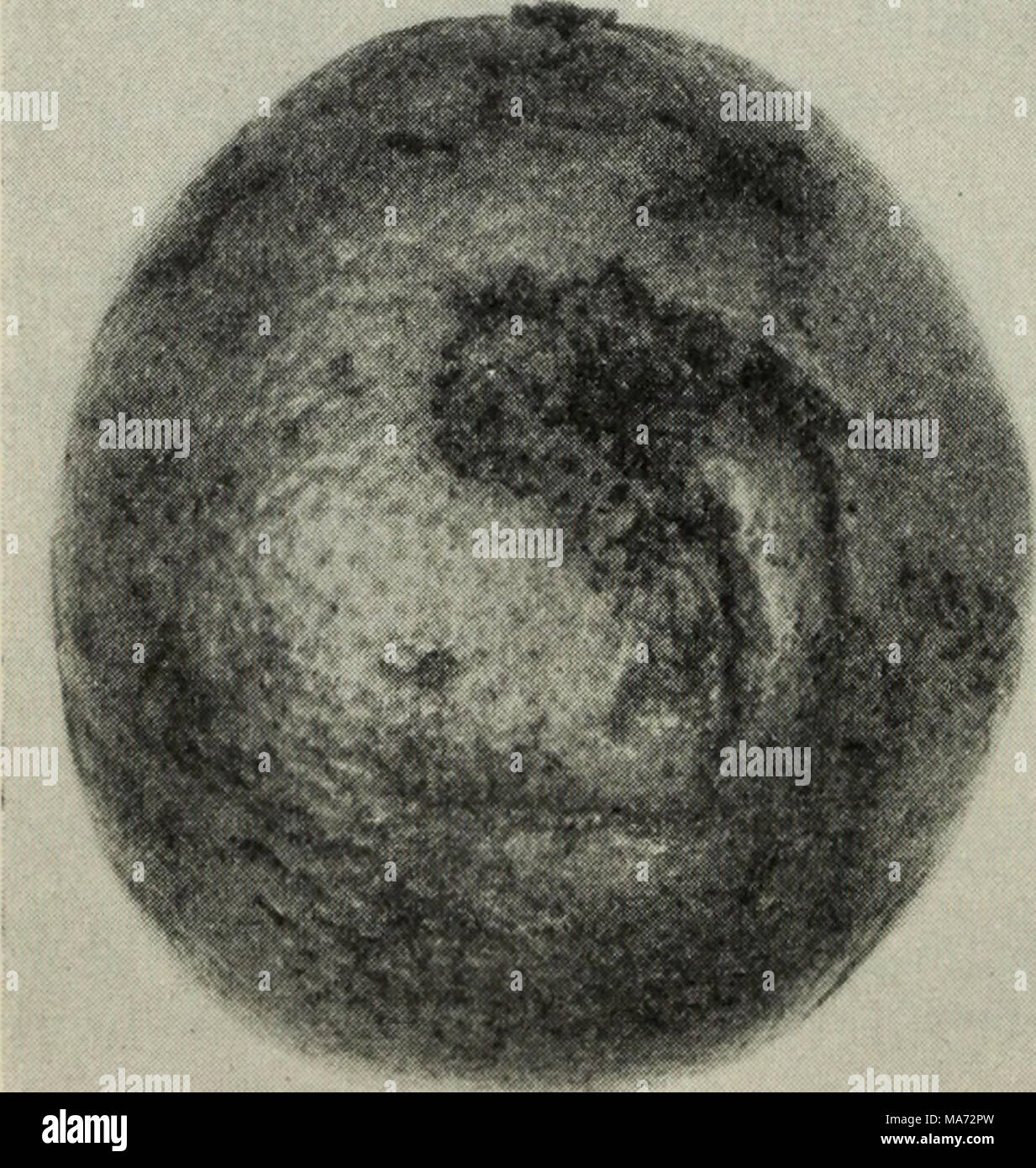 Desiccating hi-res stock photography and images - Alamy