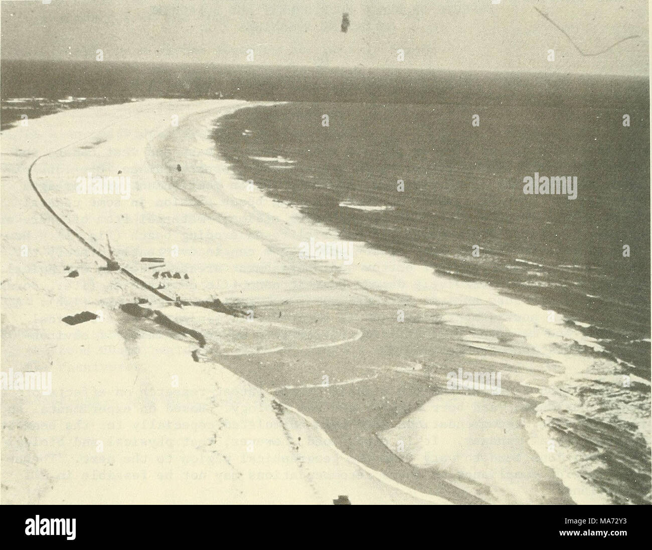 . Effects of beach nourishment and borrowing on marine organisms ...