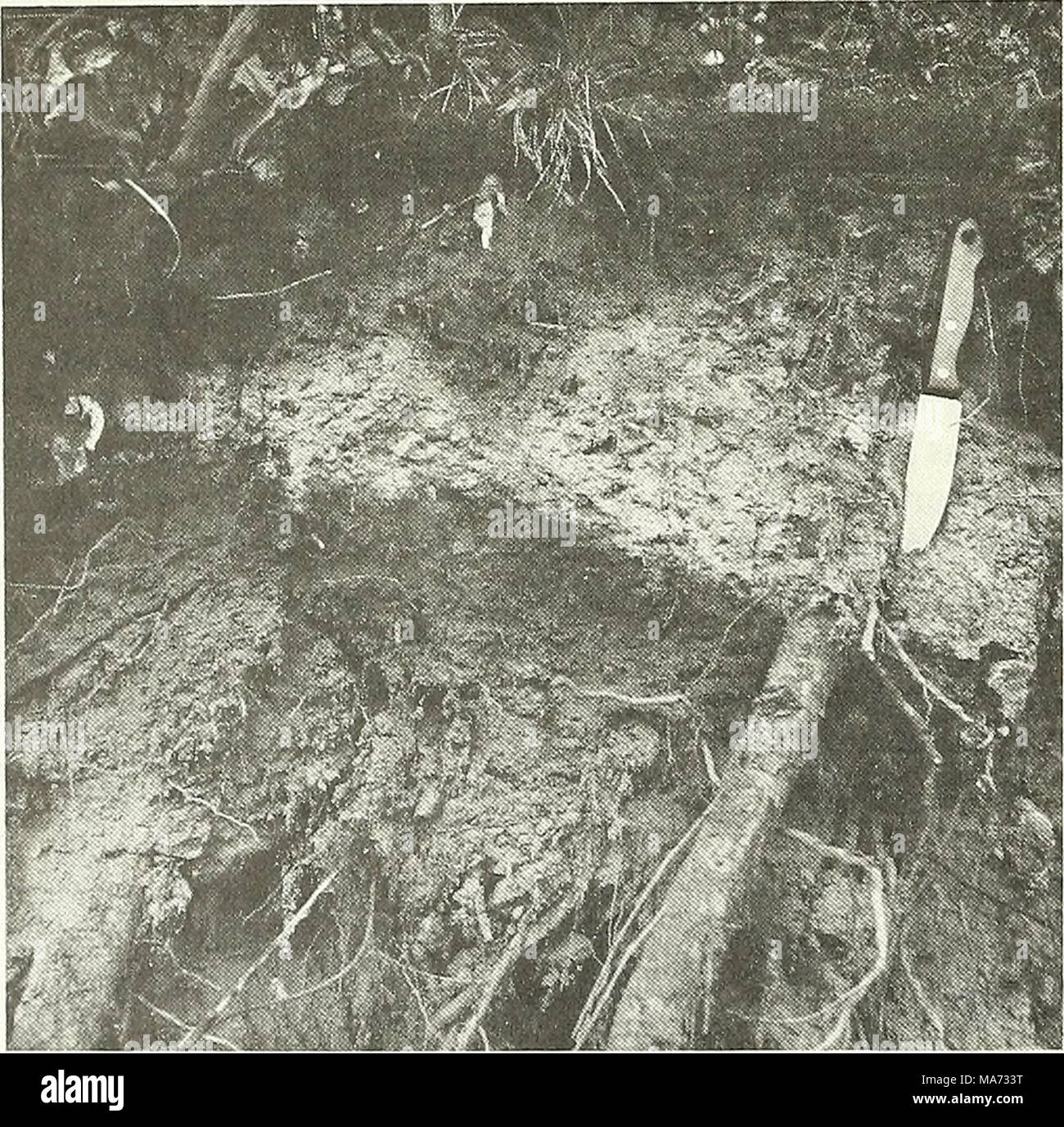 Acid Rain Weathering