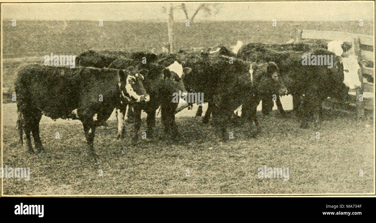 Corn soy crop rotation hi-res stock photography and images - Alamy