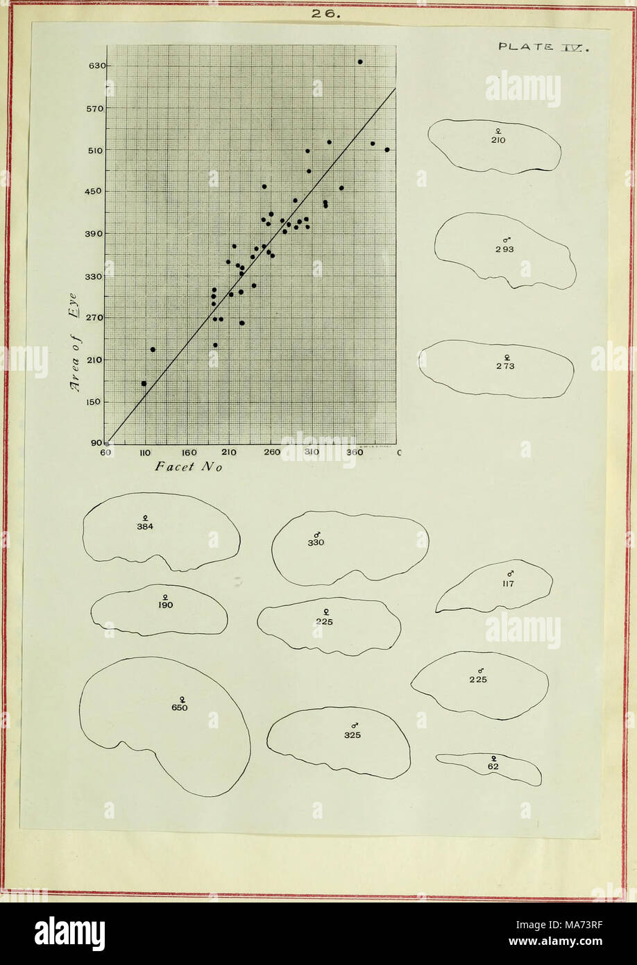 Drosophila mutant hi-res stock photography and images - Alamy