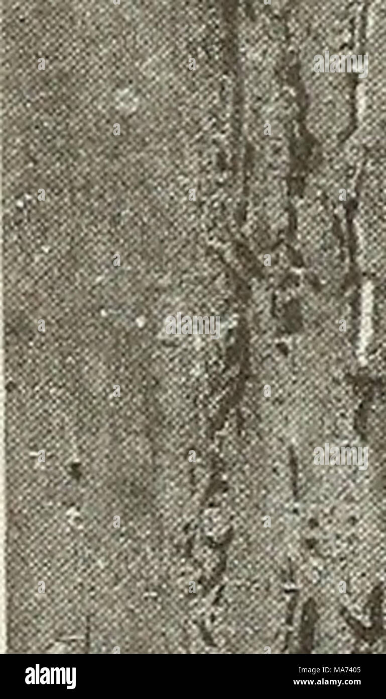 . Effect of bottom sediment containing hydrogen sulfide on materials ...