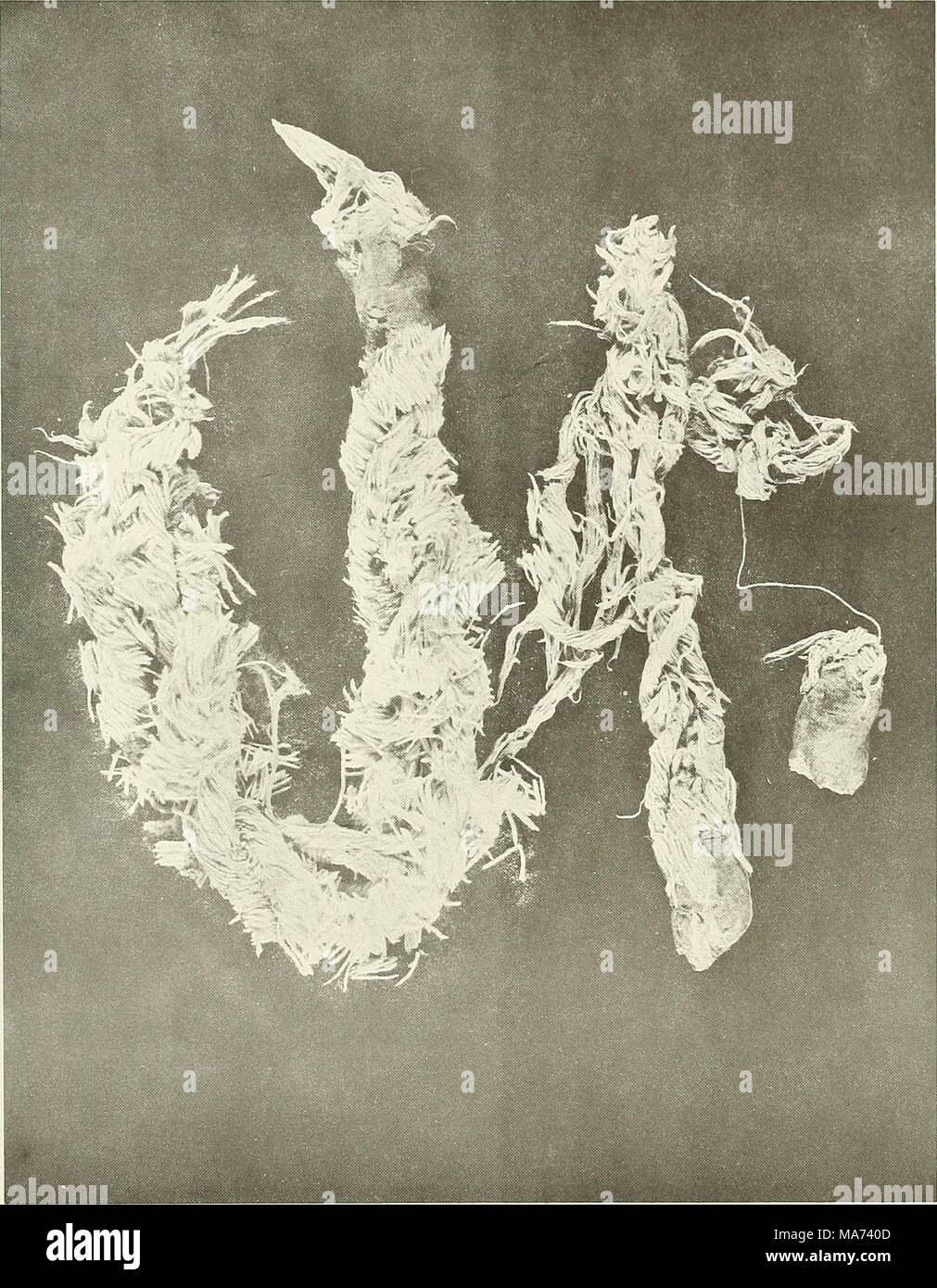 . Effect of bottom sediment containing hydrogen sulfide on materials ...