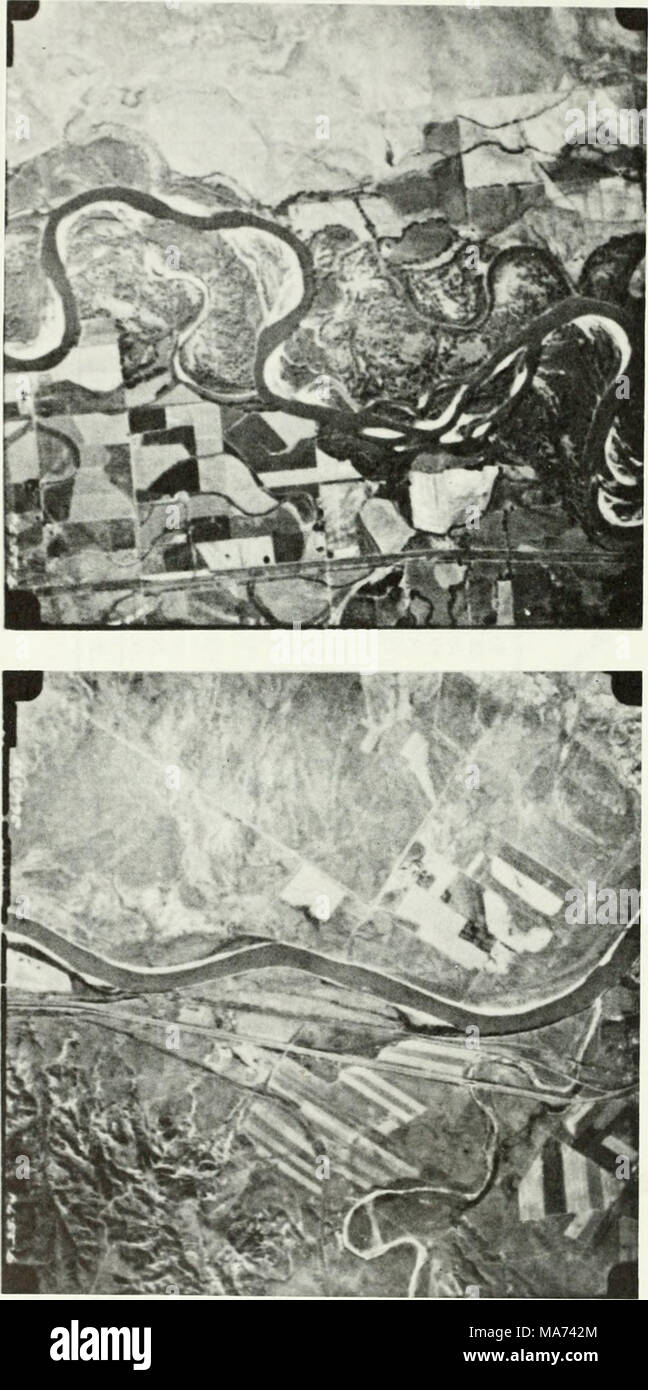 . The effect of altered streamflow on migratory birds of the ...
