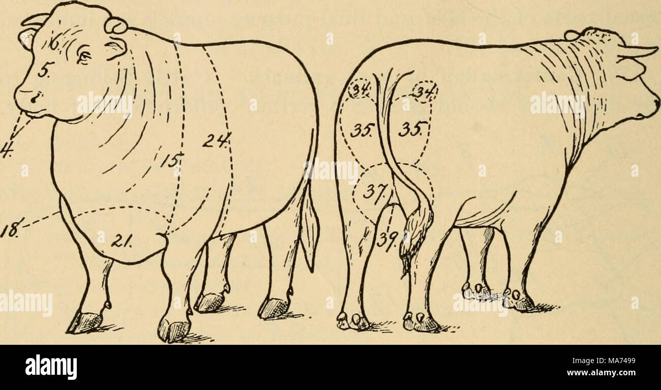. Effective farming; a text-book for American schools . Fig. 131. â ...