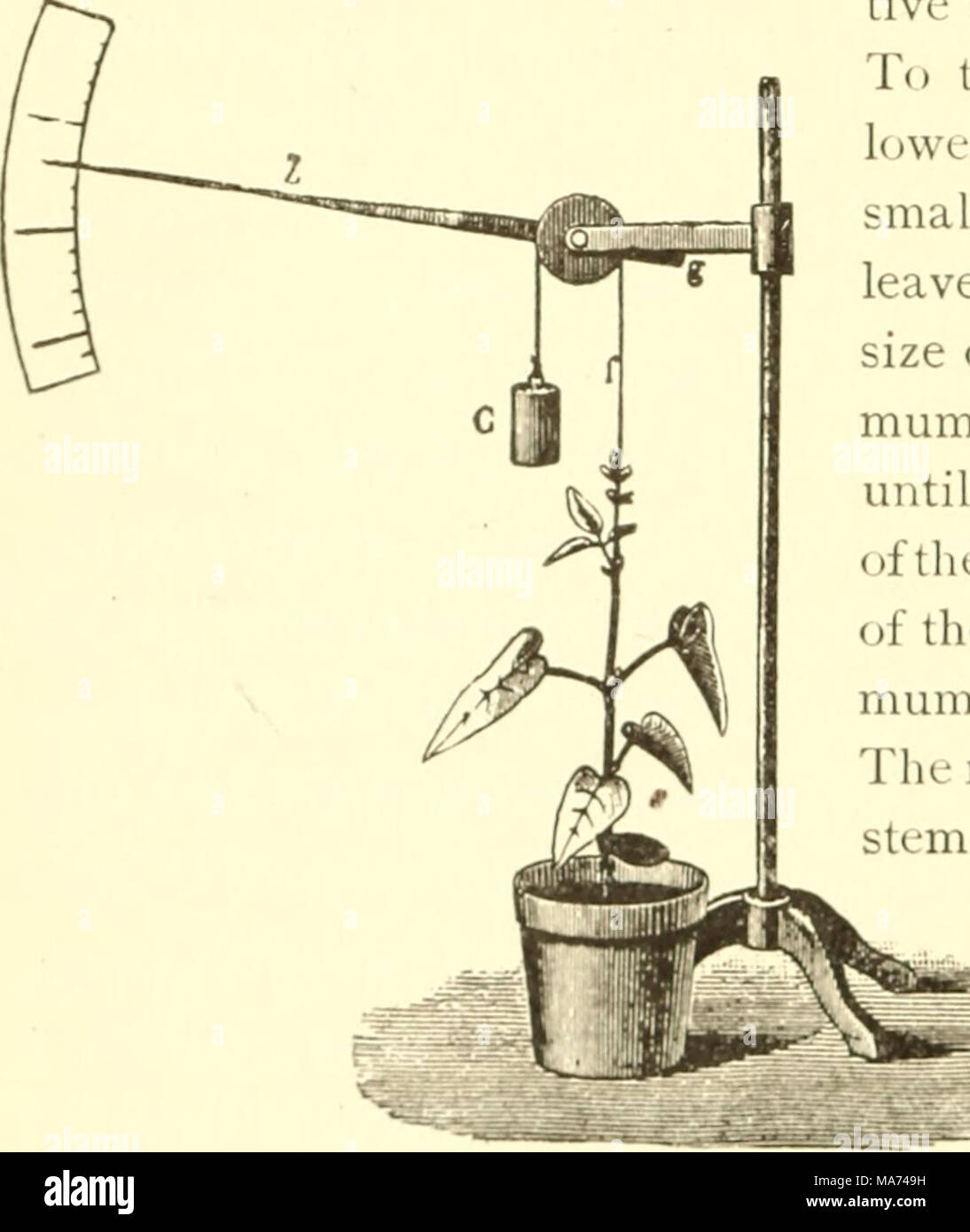 Tin ellipse hi-res stock photography and images - Alamy