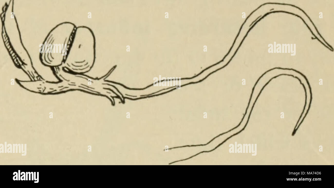 Wte plant hi-res stock photography and images - Alamy