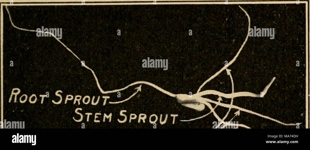 . Effective farming; a text-book for American schools . ^OOT OPROUT ...