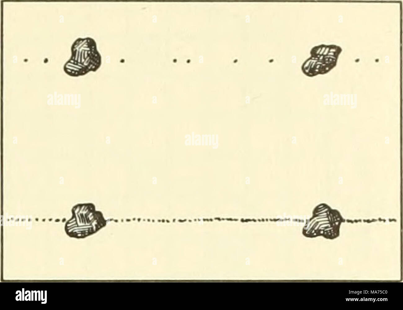 . Elementary biophysics: selected topics . Low LET High LET Fig. 50. A ...