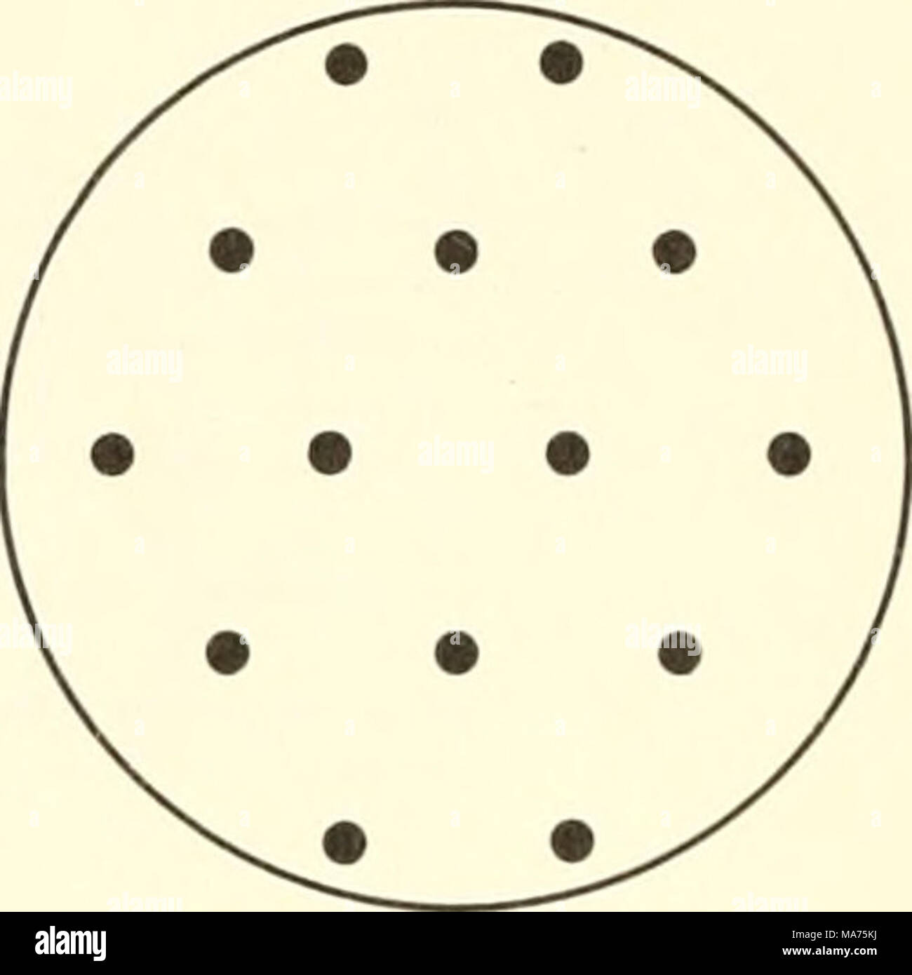 Microscope cross section cross sections hi-res stock photography and ...