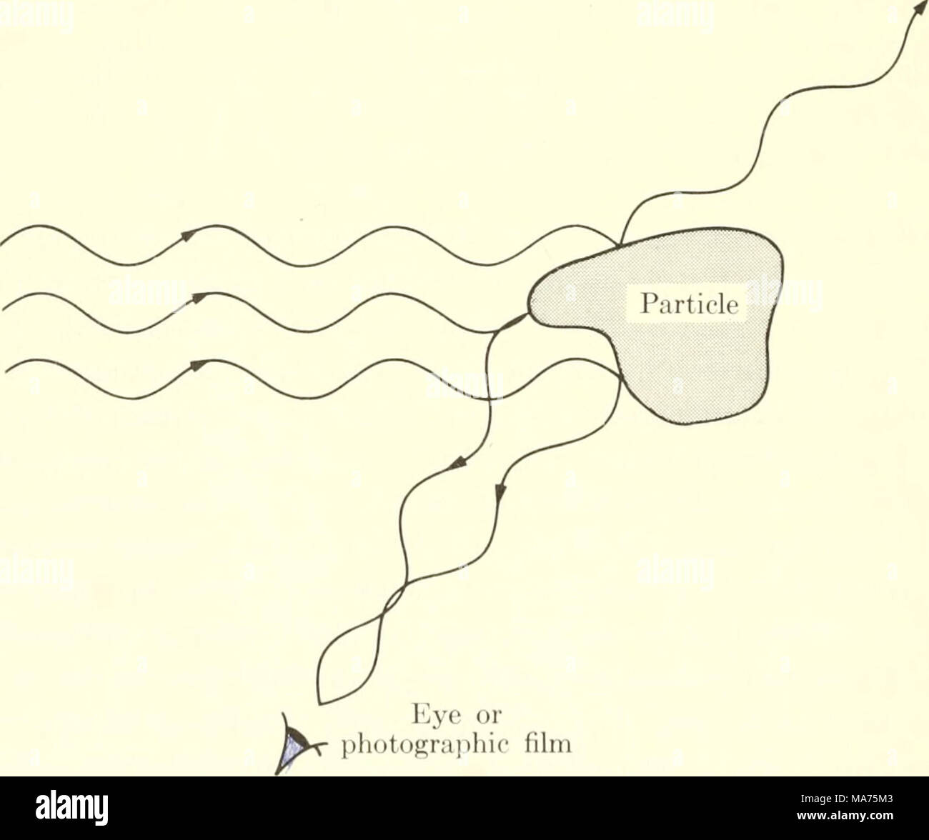 Light sensitive materials hi-res stock photography and images - Alamy