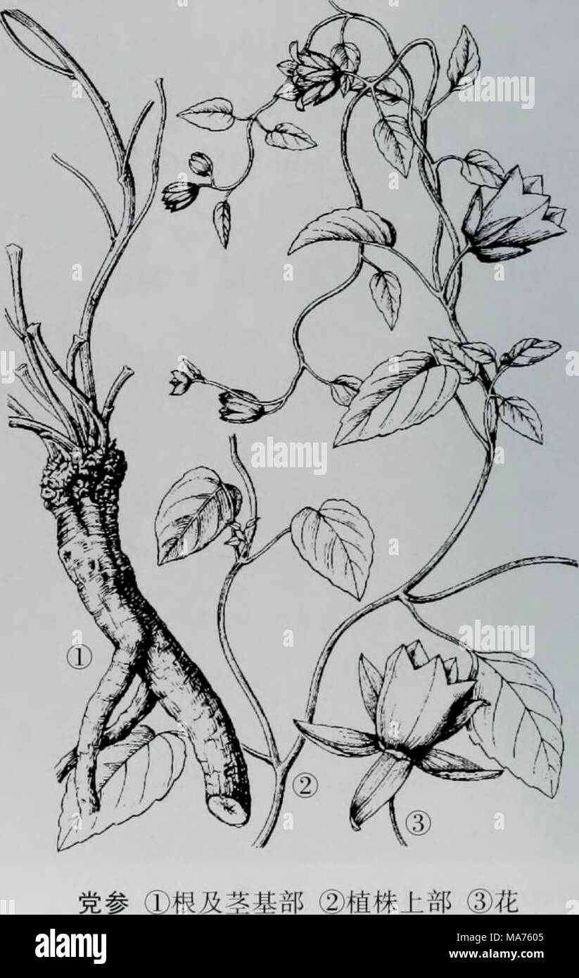 . e er duo si zhi wu zhi Stock Photo - Alamy