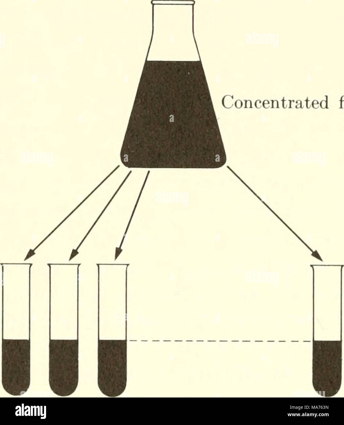 . Elementary biophysics: selected topics . Concentrated final culture ...