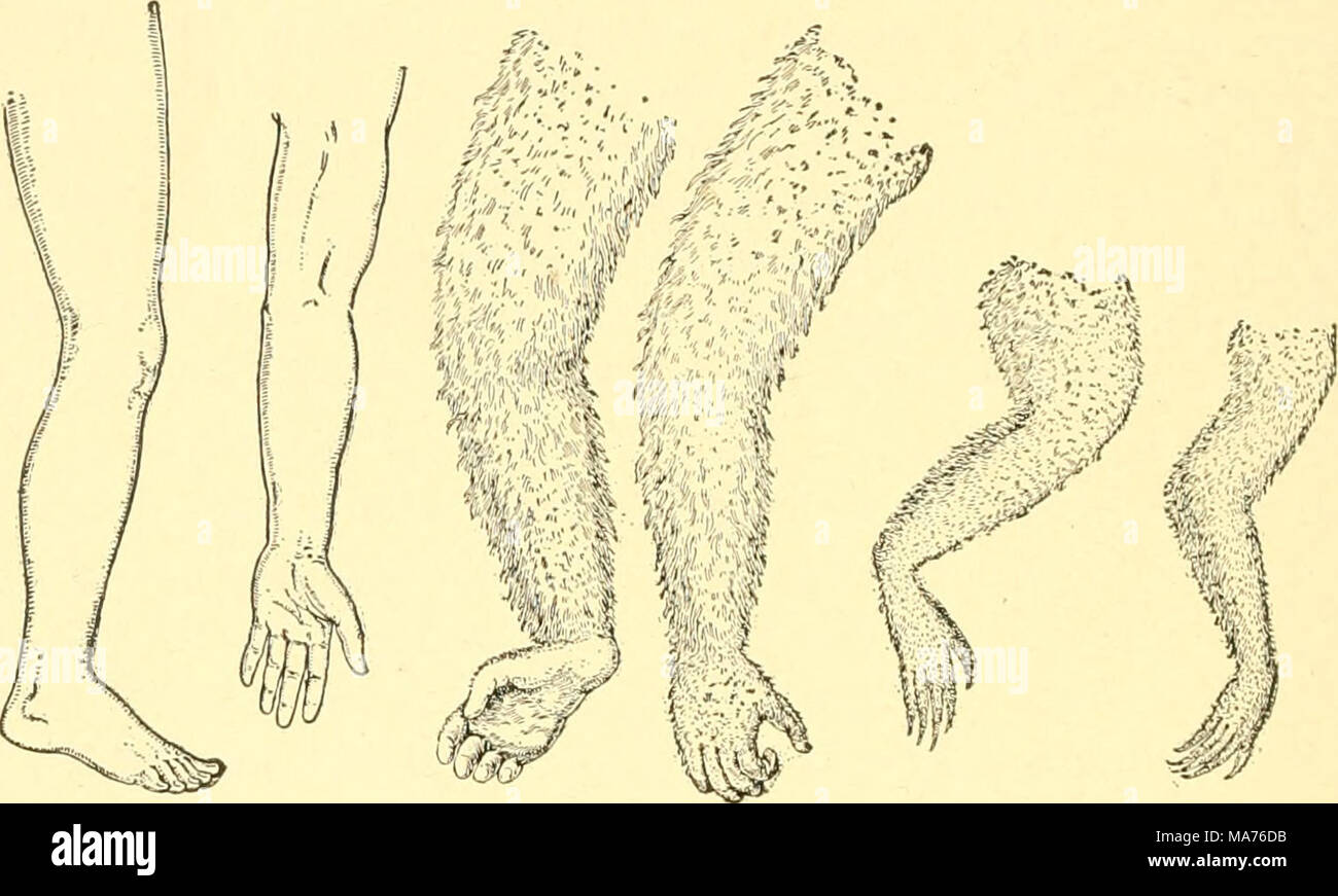 . Elementary biology; an introduction to the science of life . Fig. 253 ...
