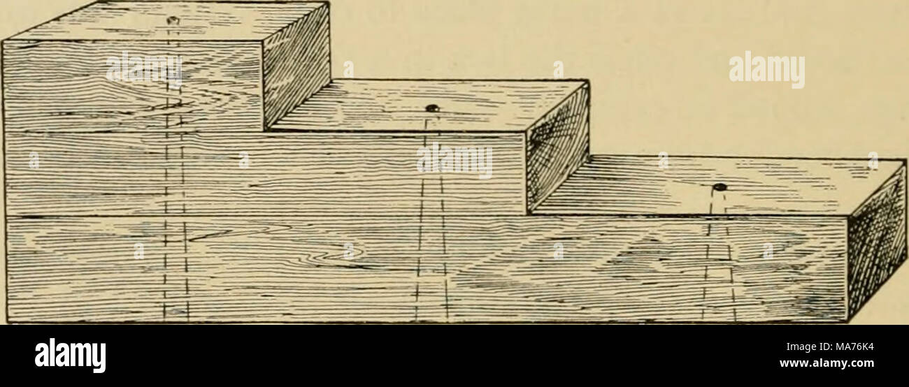 . Elementary entomology . Fig. 479. A pinning block and held very ...