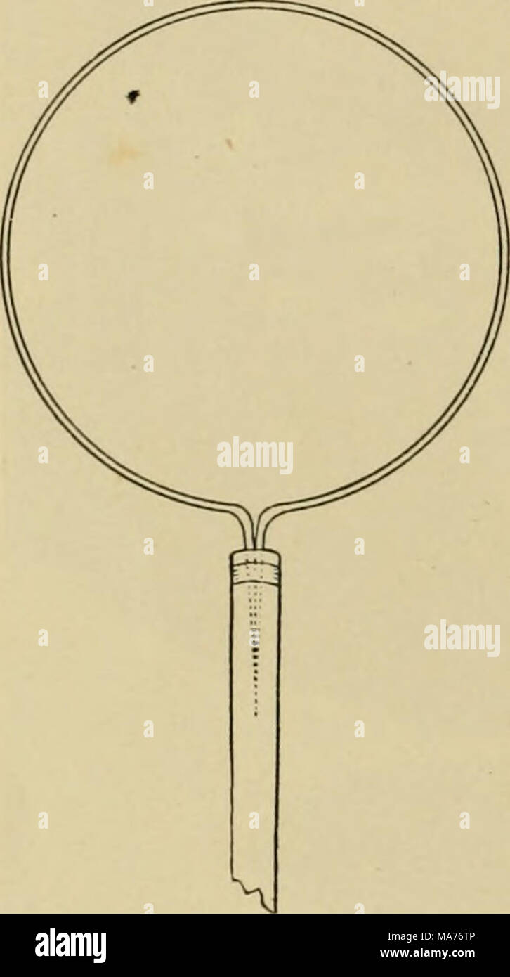 Fig 467 High Resolution Stock Photography and Images - Alamy