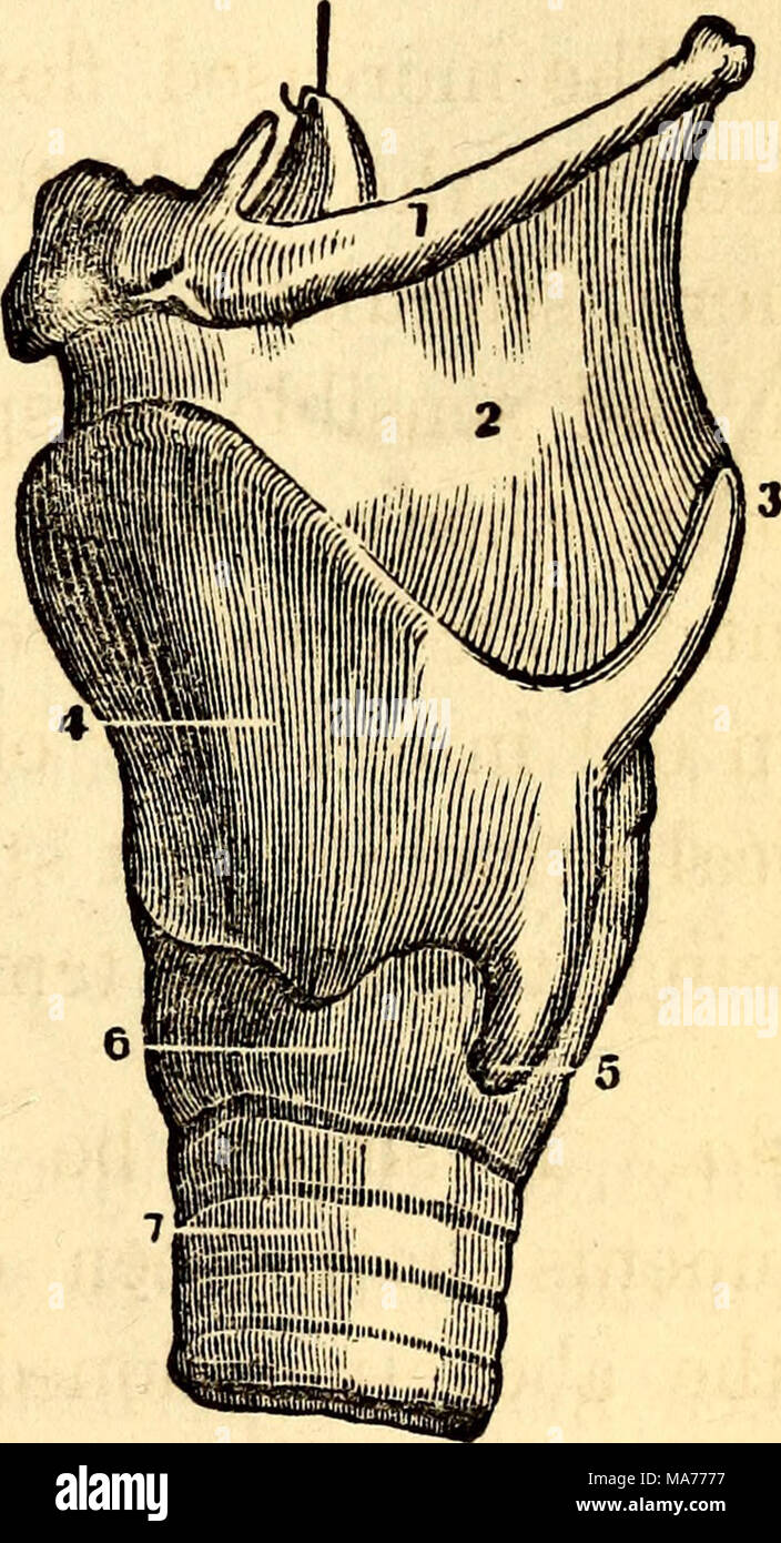 Llings hi-res stock photography and images - Alamy