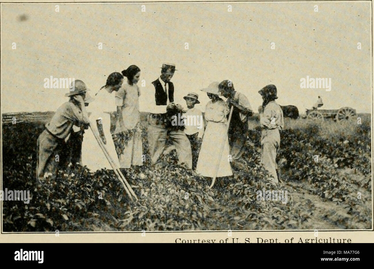. Elementary agriculture . Courtesy of V. S. Dept. nf Ai;ii Fig. 114 ...
