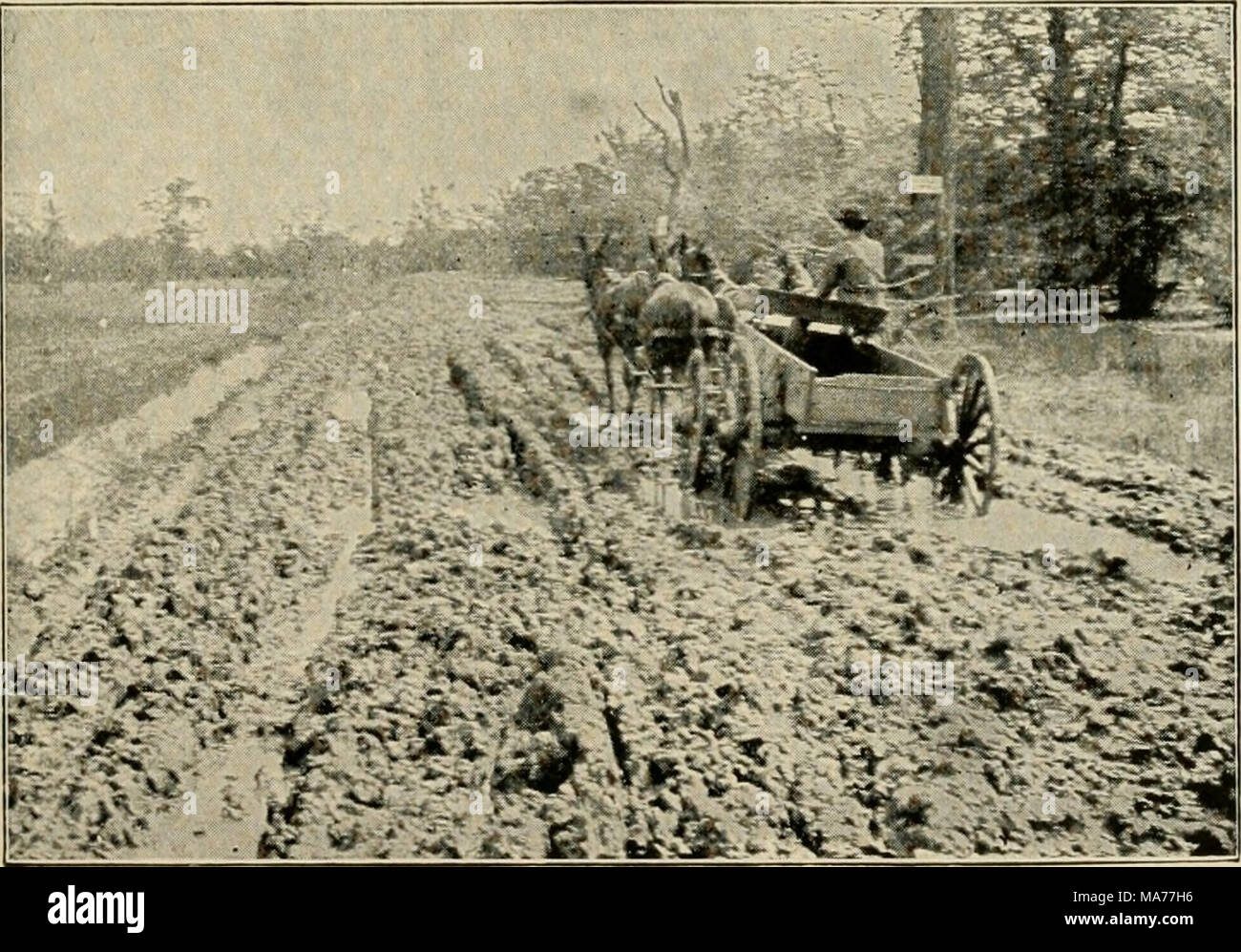 Ar 104 hi-res stock photography and images - Alamy