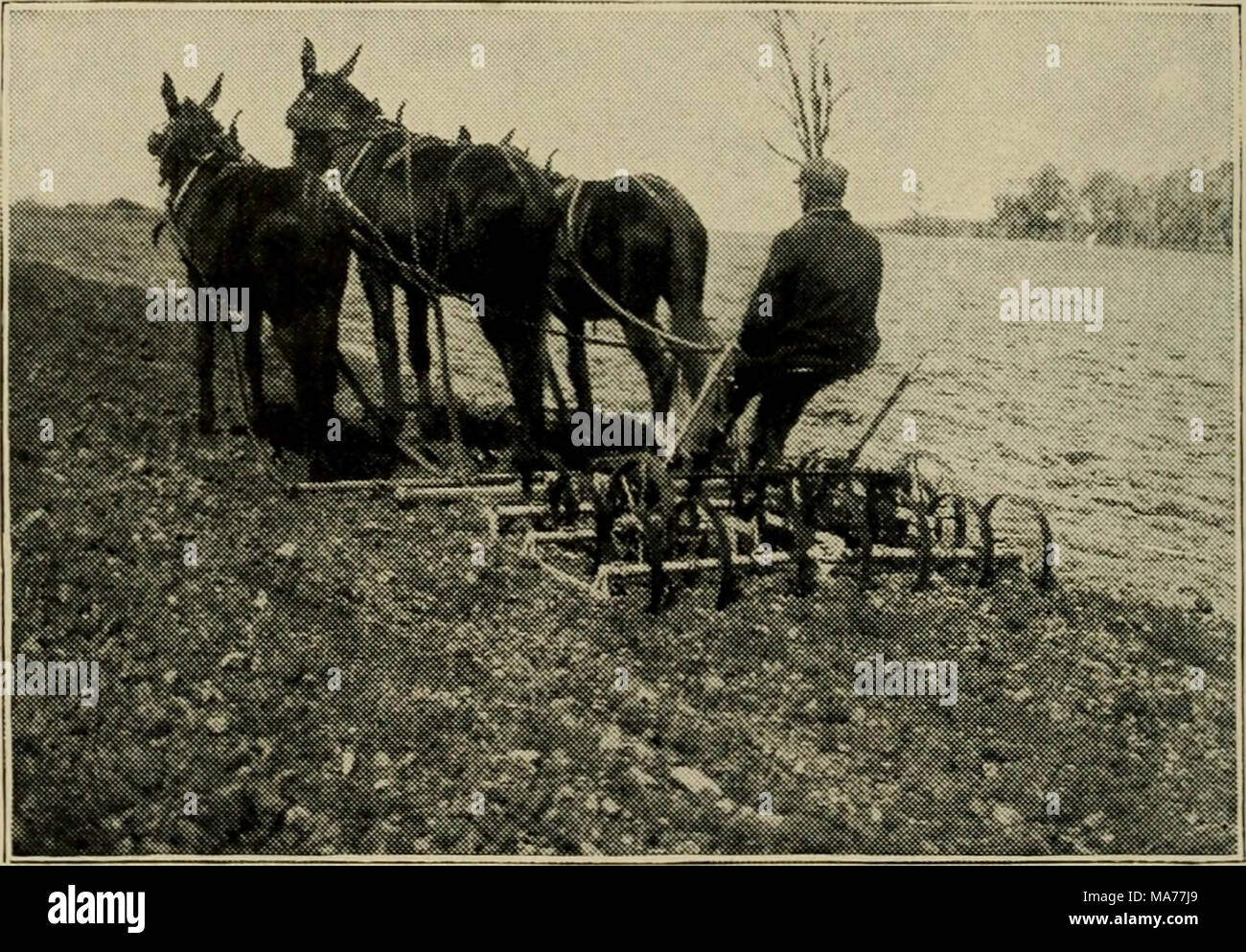 Spring tooth harrow hi-res stock photography and images - Alamy