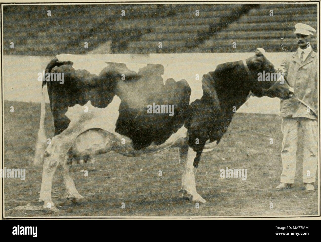 Coic hi-res stock photography and images - Alamy