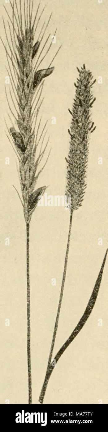 Othy hi-res stock photography and images - Alamy