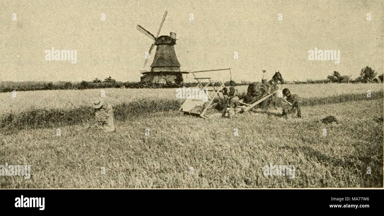 . Elementary agriculture . Fig. 73. The first reaper. much hard work to ...