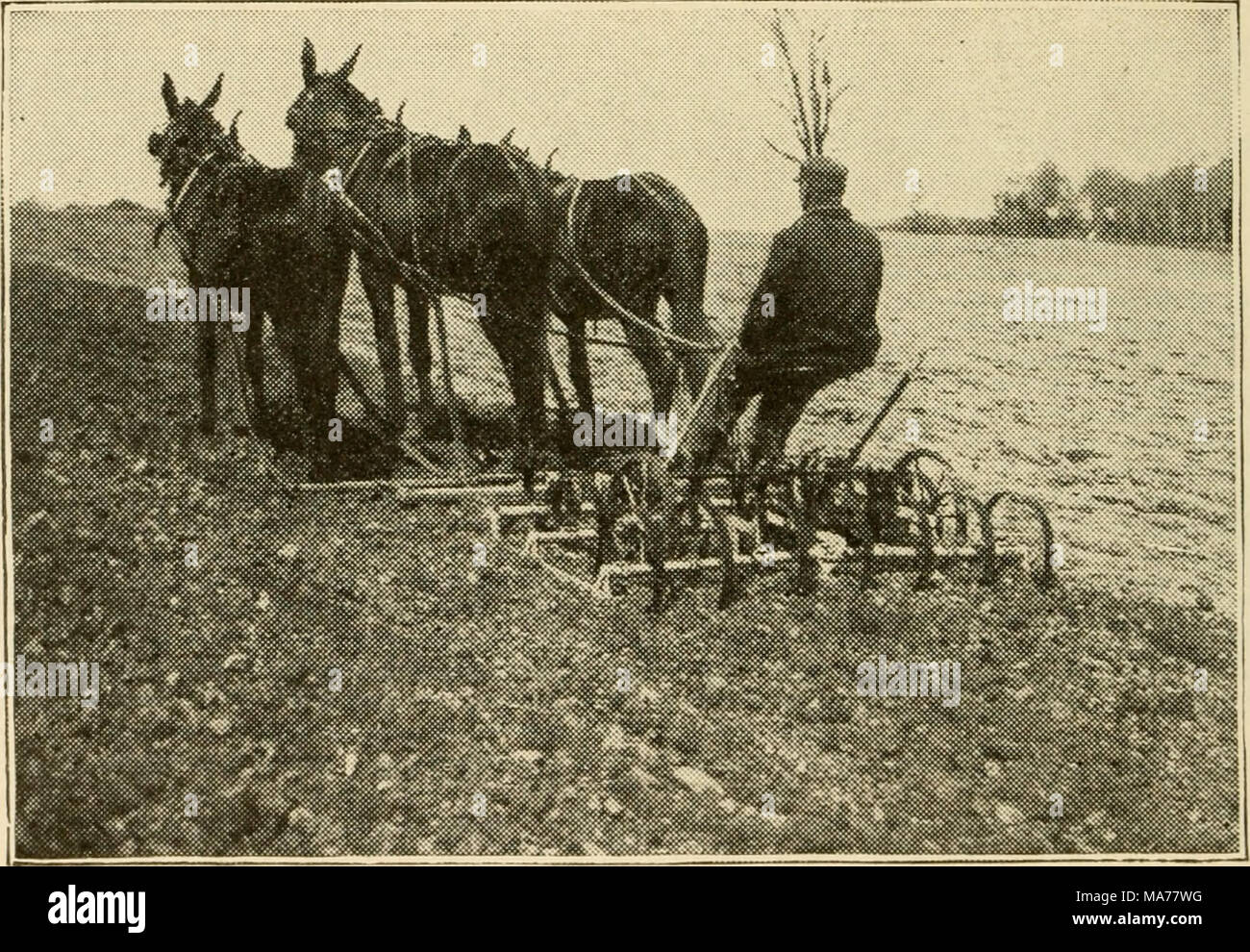 . Elementary agriculture . Fig. 66. Spring-tooth harrow Stock Photo - Alamy