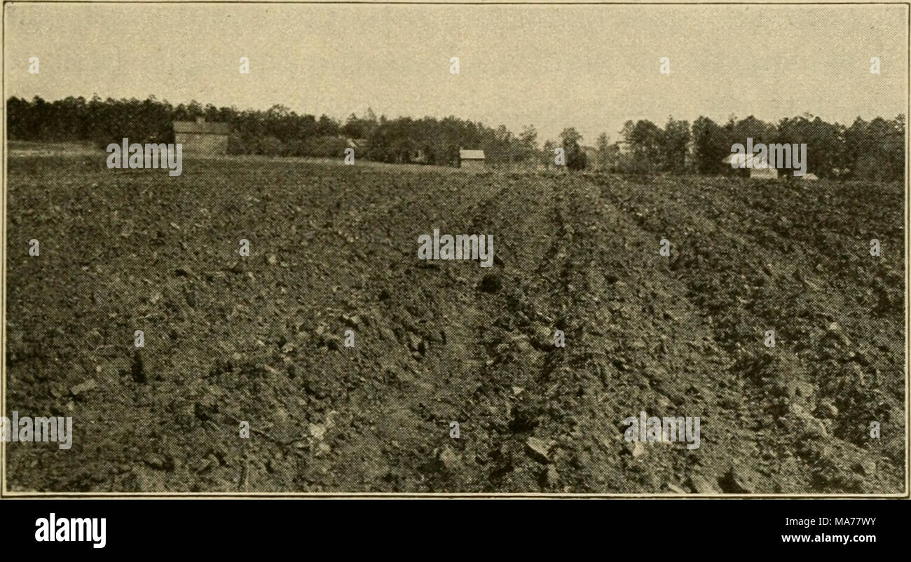 . Elementary agriculture . Courtesy U. S. Dept. of Agriculture Fig. 55a ...